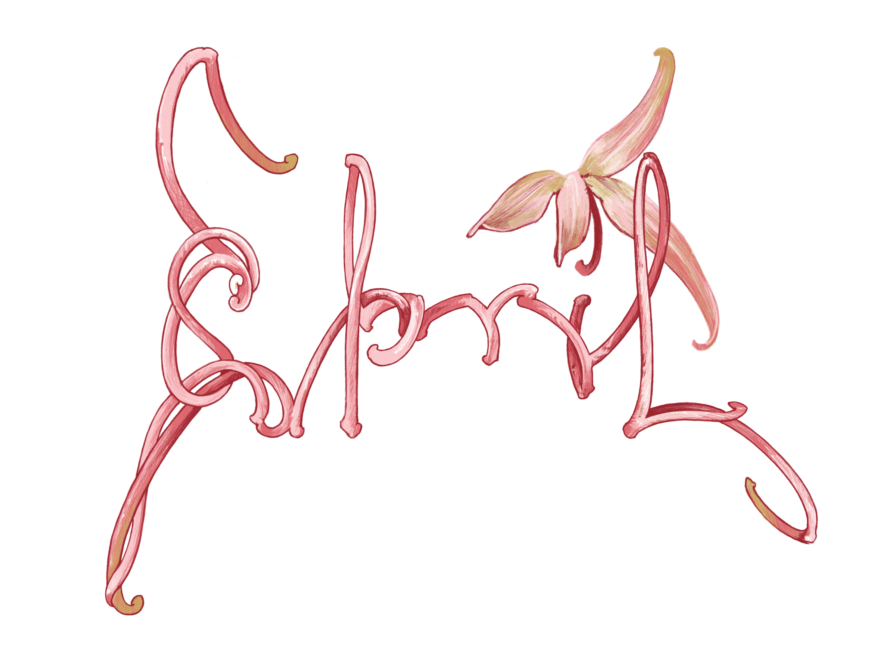 ebril | Official Site